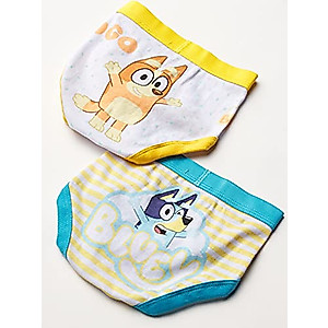 Bluey boys Underwear Multipack Briefs, Bluey10pk, 2-3T US