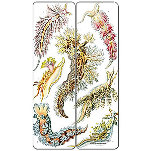Creanoso Ernst Haeckel Bookmarks Series 2 (60-Pack) - Premium Quality Gift Ideas for Children, Teens, & Adults for All Occasions - Stocking Stuffers Party Favor & Giveaways