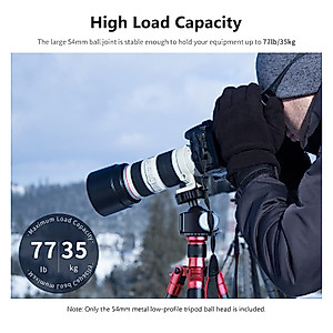 Neewer Low Profile DSLR Camera Tripod Ball Head, 54mm All Metal Panoramic Camera Mount Tripod Head with 1/4” Quick Release Plate for DSLR Camera/Camcorder, Tripod, Monopod, Slider, Max Load 77lb/35kg