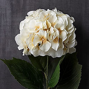 Ashland Michaels Bulk 12 Pack: Real Touch™ White Orlane Rose Spray