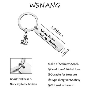 WSNANG Funny Monkey Keychain Not My Circus Not My Monkeys Keychain Retirement Gift for Employees Colleague Social Worker Going Away Gift (Monkey Keychain)