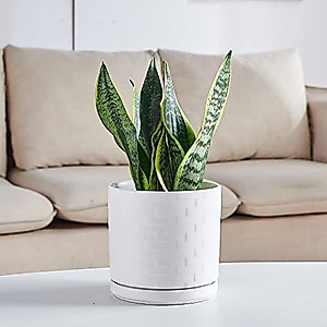 Tagobar Planter Plant Pot - 6 Inch Indoor Pots for Plant Lines Pattern Ceramic White Flower Pot with Drainage Holes & Tray (Plant Not Incolued)