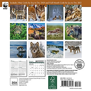 WWF Wolves Mini Wall Calendar 2021, 7" x 7"