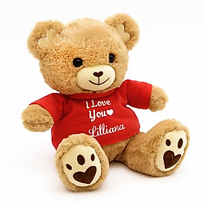 DIBSIES Personalized Teddy Bear (I Love You)