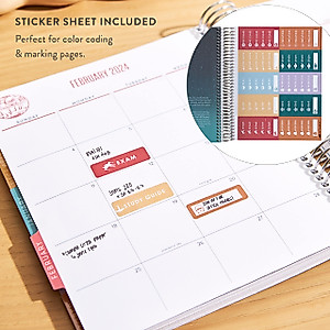 Erin Condren 7x9 Coiled Academic Planner (July 2024 - June 2025) - Watercolor Leia Cover, Star Wars Theme, Platinum Coil