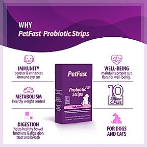 Petfast Probiotic Strips for Dogs and Cats, Pumpkin Flavor, 10 Billion CFUs, 30 Fast Dissolving Oral Strips, Improved Gut Health