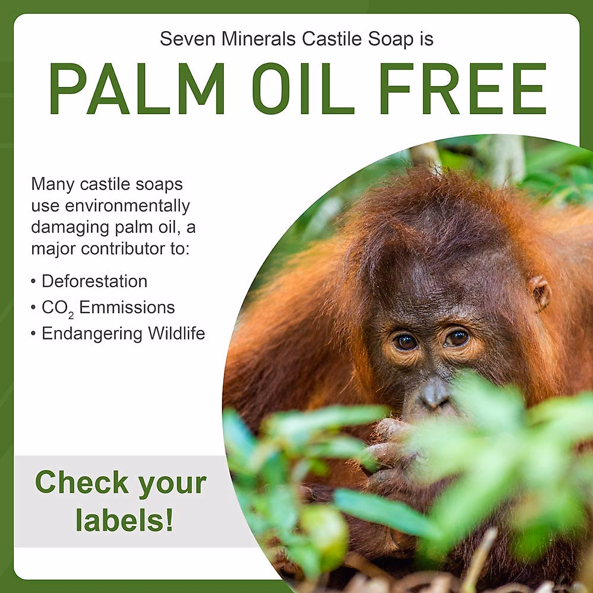 Seven Minerals EWG Verified Unscented Castile Soap & Sweet Orange Castile Soap