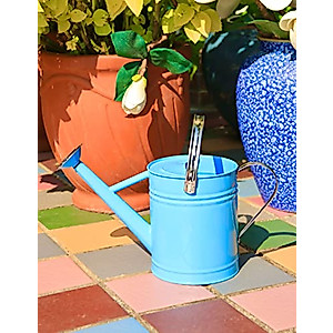 Joequality Watering Can for Outdoor&Indoor Plants，Galvanized Steel Watering Can with Stainless Steel Handles，1 Gallon Metal Plant Watering Pot Gardening Tools，Blue