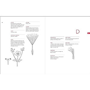 A Botanist's Vocabulary: 1300 Terms Explained and Illustrated (Science for Gardeners)