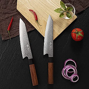 BGT Kiritsuke Chef Knife, 8 inch Damascus Kitchen Knife, Japanese 67 Layer High Grade VG-10 Damascus Steel Chef Knife with Ebony Wood Handle, with Gift Box.