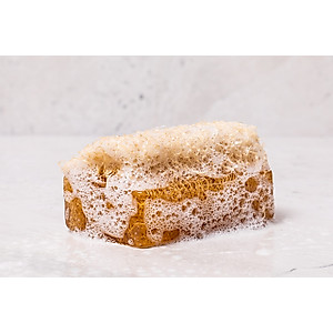 SABUN CO. Coconut Oil Loofah Soap - Natural Exfoliating Soap Bar for Face & Body Scrub - Moisturizing Soap for Softer Skin - Handmade with Coconut Oil, Jojoba Oil, Witch Hazel [4.40 oz - 125 gr]