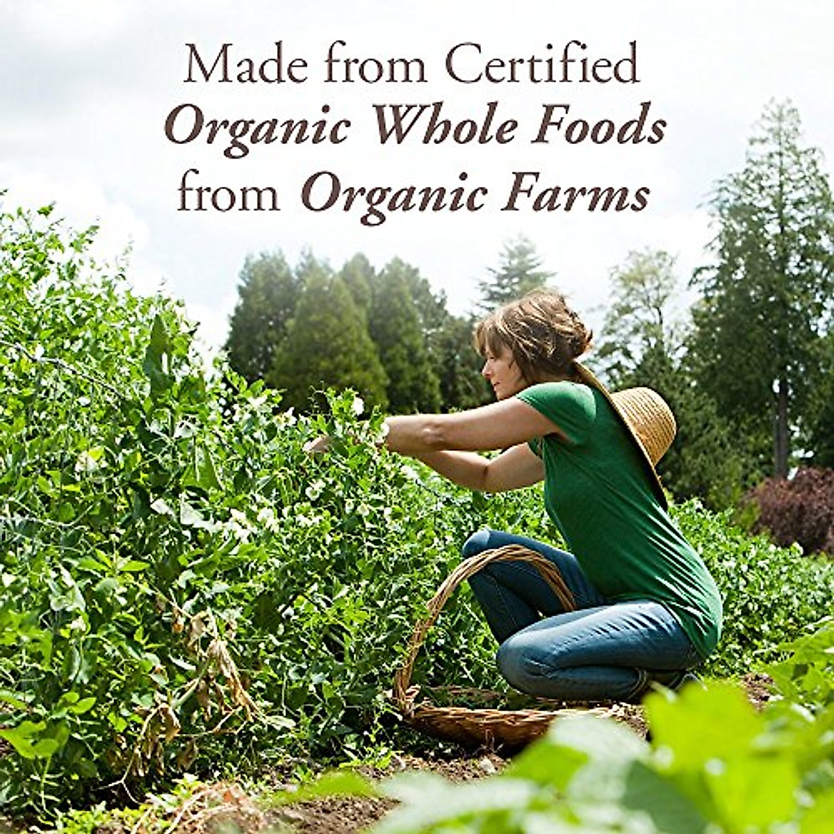 Garden of Life B12 Vitamin - mykind Organic Whole Food B-12 for Metabolism and Energy, Raspberry, 2oz Liquid