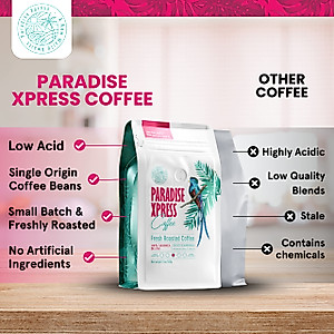Paradise Xpress - Low Acid Coffee Beans Whole - Best Coffee Whole Beans Guatemala Coffee - Pour Over Coffee - Whole Coffee Bean Medium Roast Whole Bean - Whole Bean Coffee Medium Roast - Cafe En Grano