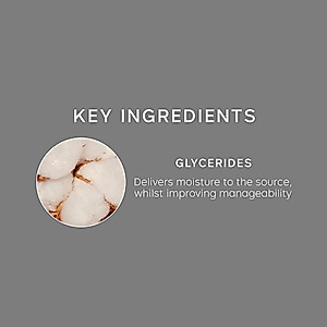 PHILIP KINGSLEY | No Scent No Color Gentle Shampoo | For Sensitive and Delicate Scalps | Sulfate-Free and Fragrance-Free | 8.4oz