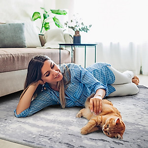 AMOAMI Area Rugs 5x7 Distressed Modern Abstract Washable Rug Soft Fluffy Indoor Carpet Non Slip Area Rug for Living Room Bedroom Dining Room Playroom Office