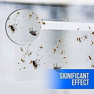 Garsum Window Fly Traps Indoor, Fly Paper Bug Sticky Strips, House Fly Killer Window Decal Non-Toxic,4 Piece per Pack Total 12 Pices