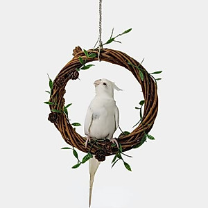 Round Bird Swing, Natural Willow Branch Chewing Bird Toys, Hanging Climbing Cage Parrot Perch Play Stands for Small Parrots Lovebirds Conures Parakeets (Large)