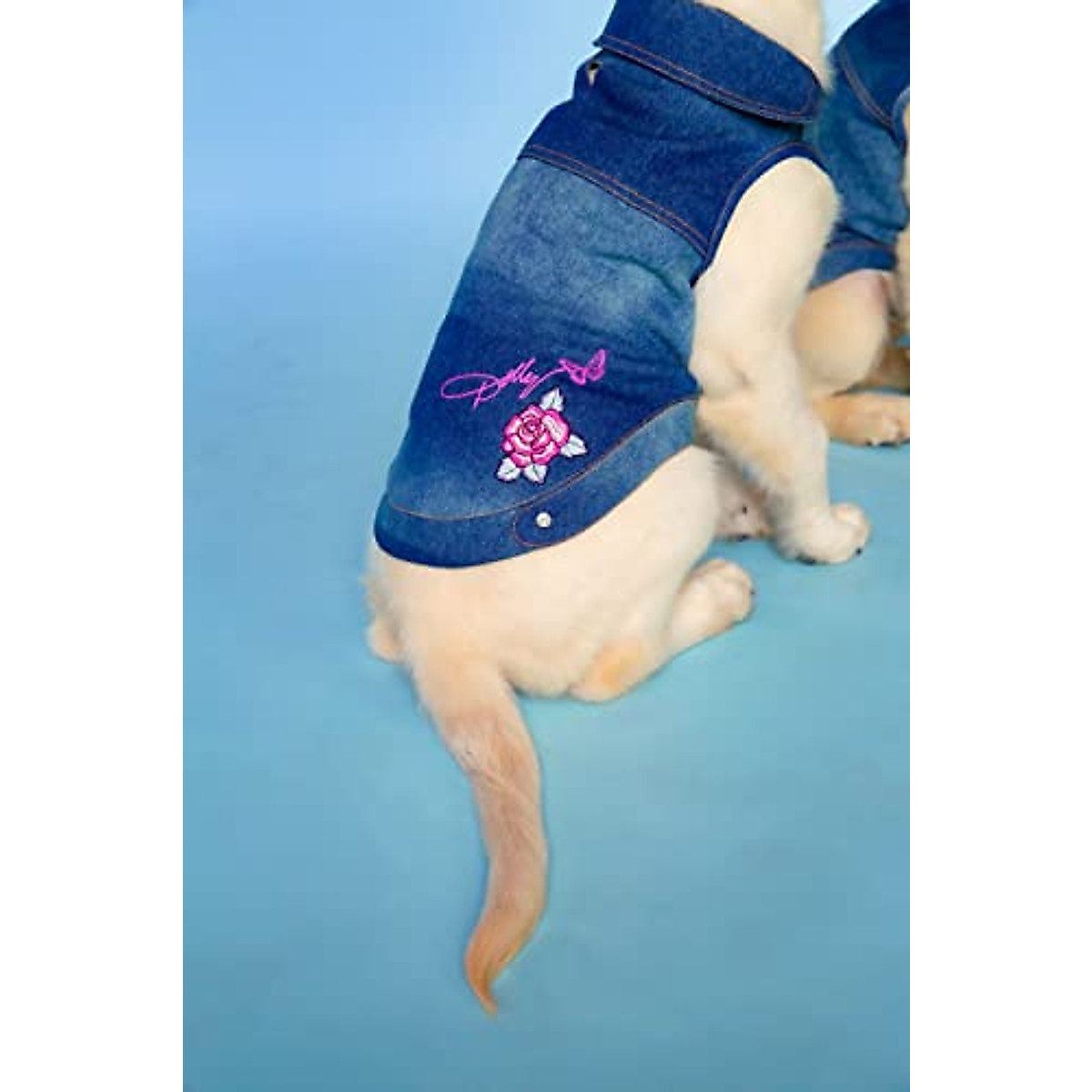 Dolly Doggy Parton Blue Denim Jacket with Collar for Dogs, Dog Apparel