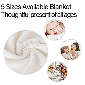 Eiffel Tower Fleece Throw Blanket,All Season Paris Tower Bed Blanket French Paris Cityscape Fuzzy Blanket for Bed Sofa Couch,Bedroom Decor Pink Floral Plush Blanket 40"x50"