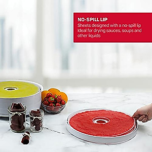 NESCO LSS-2-6 Round Clear Plastic 13 1/2" Fruit Roll Sheets, Food Dehydrators, White