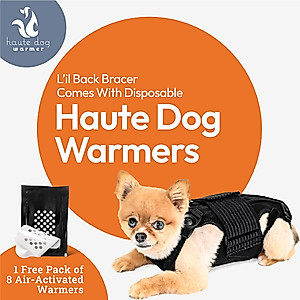 Dog Back Brace with Soothing Heat Warmers for IVDD - Pain Relief for Arthritis - Spinal Surgical Recovery - Herniated & Slipped Disc - Made in USA (Small)
