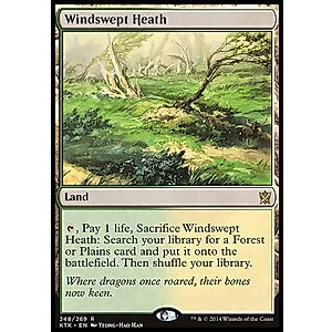 Magic: The Gathering Singles MTG Magic: The Gathering - Windswept Heath (248) Khans of Tarkir KTK (KTK248)
