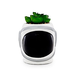 Silver Buffalo NASA Astronaut Decorative Artificial Faux Greenery Plant in Ceramic