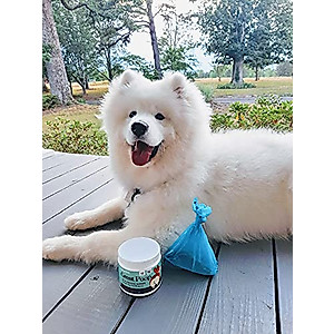 Great Poop Probiotics for Dogs - A Fiber for Dogs Supplement with Dog Probiotics and Digestive Enzymes for a Healthy Gut, Firm Stool & Diarrhea Relief - Chicken Flavored Pet Soft Chews with Prebiotics