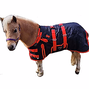 CHALLENGER 56" 1200D Miniature Weanling Donkey Pony Horse Foal Winter Blanket Red BLK 51946