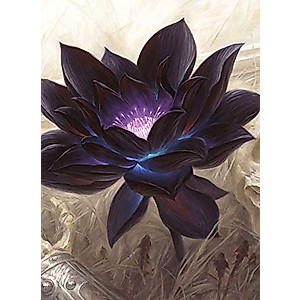 120 PCS/LOT Black Lotus Game Sleeves Cards Sleeve Card Cover for Trading Cards TCG Board Games Protective Sleeves 66x91mm