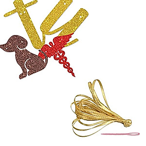 Maicaiffe Gold Glitter Future Vet Banner - Veterinarian Grad Banner - Congrats Grad / Happy Graduation Sign - Congrats Vet Graduation Party Decorations