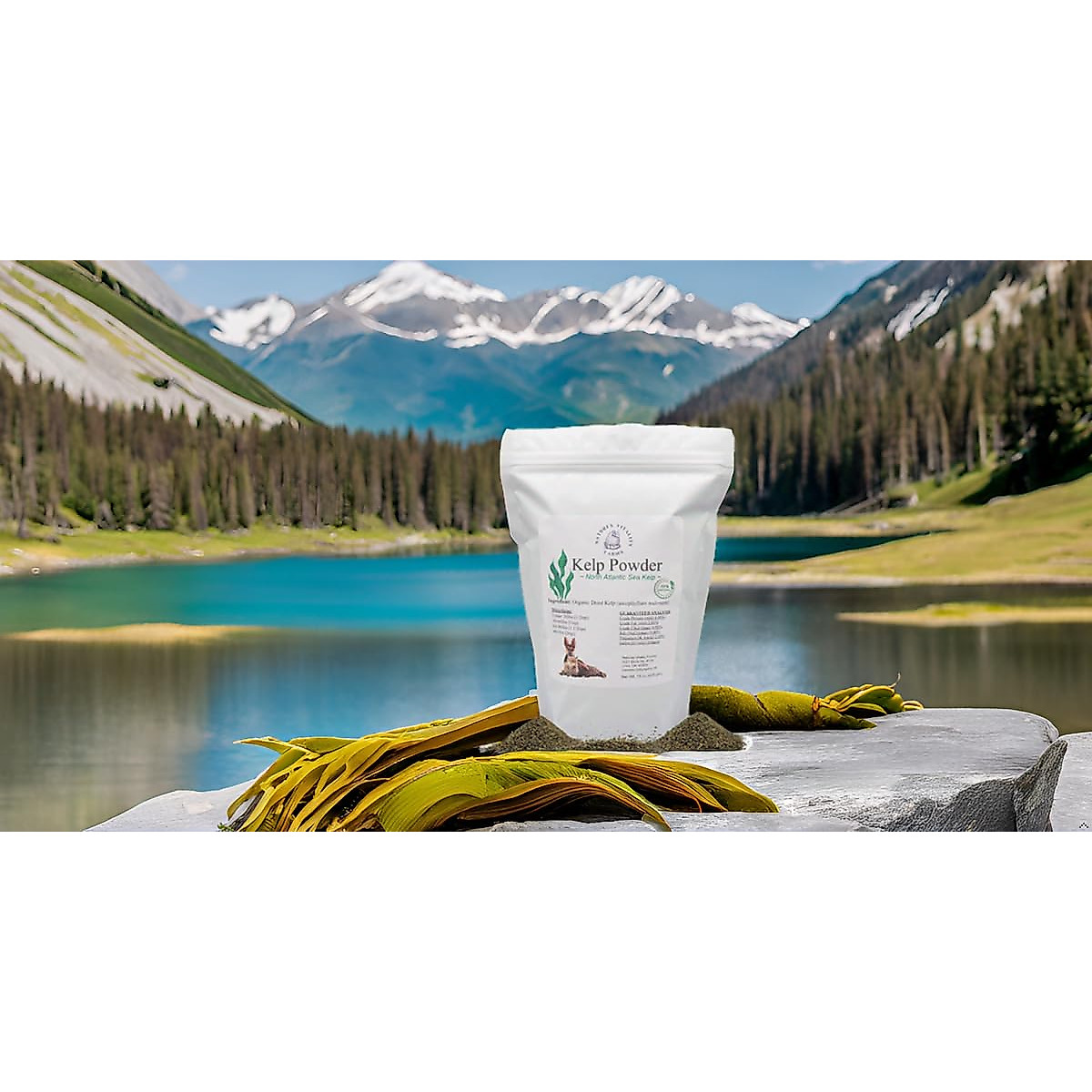 Kelp Powder for Dogs/Cats, Natural North Atlantic Ocean Sea Kelp, Vitamins Minerals and Antioxidants for Ultimate Health (15 Ounce)