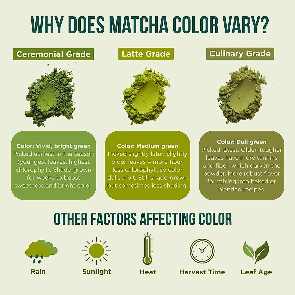 Jade Leaf Organic Matcha Latte Mix - Cafe Style Sweetened Blend - Sweet Matcha Green Tea Powder (5.3 Ounce)