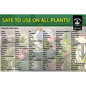 Big Foot Water-in Brew - Soil Drench and Organic Fertilizer | Mycorrhizae + Worm Castings + Kelp + Azomite,+ Biochar + Humic Acid - (4 oz)
