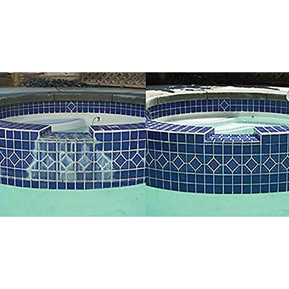 Bioclean Hard Water Stain Remover 20.3 oz