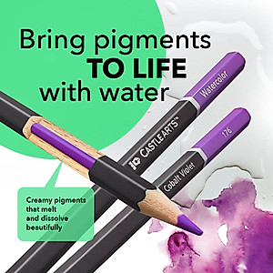 Castle Art Supplies 120 Watercolor Pencils Set | Quality Vibrant Pigments | Draw and Paint at Same Time | For Adult Artists and Professionals | Protected and Organized in Presentation Tin