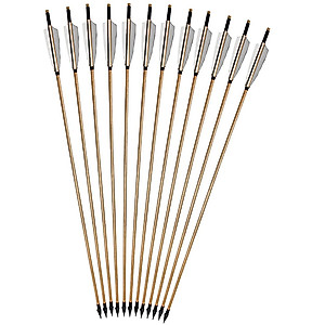 e5e10 33" Archery Wooden Arrows with Turkey Feather and Sharp Iron Tips for Recurve Bow Longbow Hunting (12White)