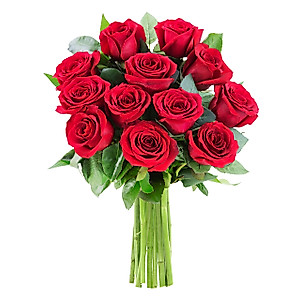 KaBloom PRIME NEXT DAY DELIVERY - Summer Collection - Bouquet of 12 Fresh Red Roses .Gift for Birthday, Anniversary, Get Well, Thank You, Valentine, Mother’s Day Fresh Flowers