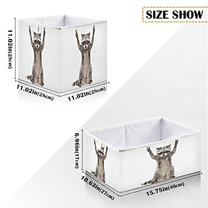 Kigai Raccoon Say Yeah Cube Storage Bins - 11x11x11 In Large Foldable Storage Basket Fabric Storage Baskes Organizer for Toys, Books, Shelves, Closet, Home Decor