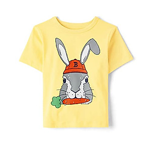 The Children's Place Baby Boys' and Toddler Equality for All Short Sleeve Graphic T-Shirts, Easter Bunny, 3T