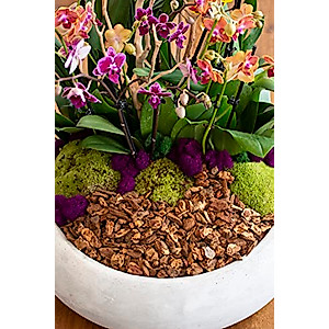 SuperMoss 7 59834 23310 7 B00I6AKFI8, 80.75 in3 Bag (Appx. 2oz), 0