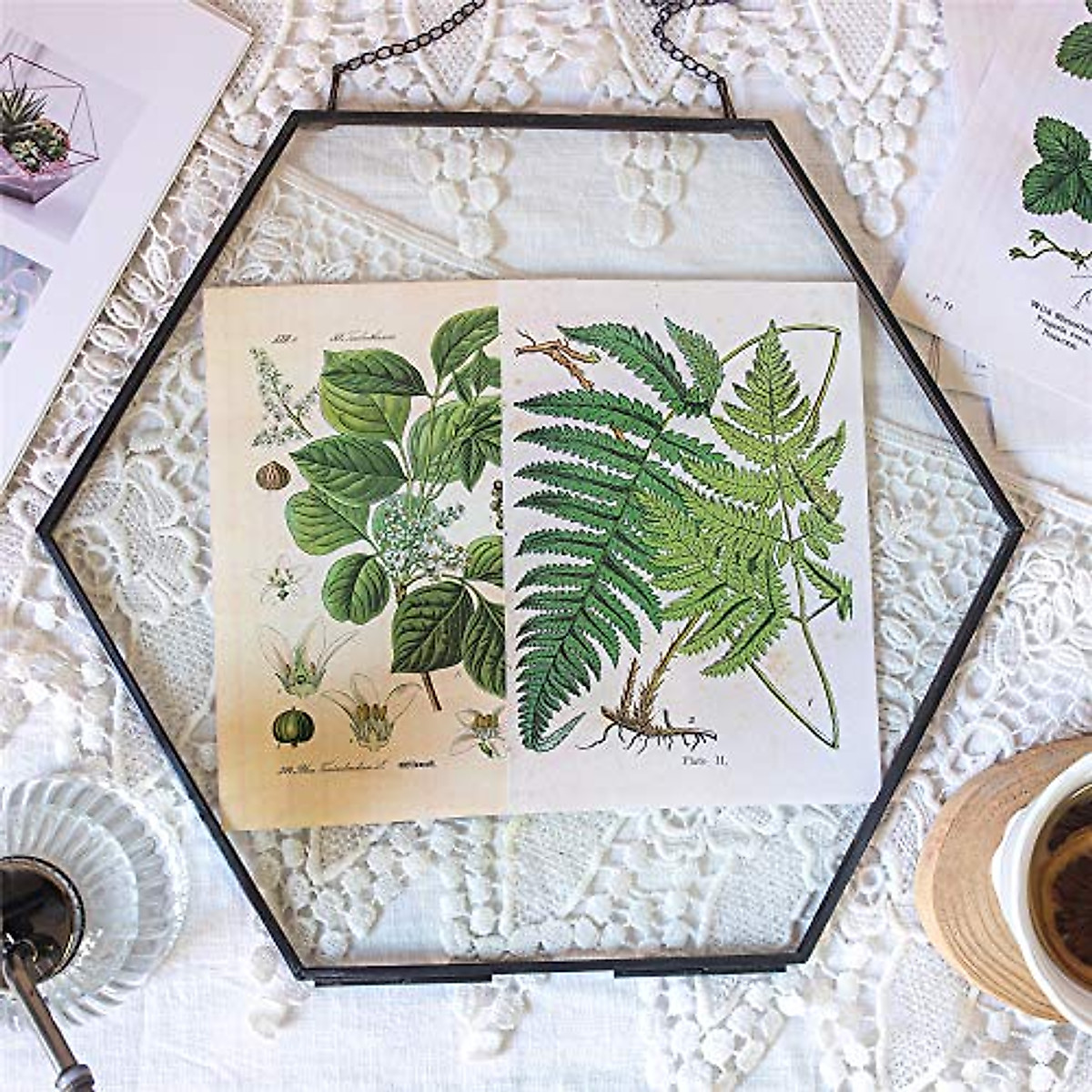 NCYP Side Length 6.8 inches Large Hanging Black Hexagon Herbarium Brass Glass Frame for Pressed Dried Flowers, Poster, Double Glass, Floating Frame Style, Glass Frame Only