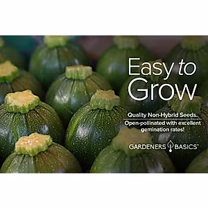 Round Zucchini Seeds for Planting Heirloom, Non-GMO Vegetable Summer Squash Container Variety- 3 Grams Seeds Great for Summer Garden by Gardeners Basics