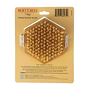 Burt's Bees for Dogs Palm Brush with Hemp Bristles | Best Ergonomic Dog Brush To Groom Large Dogs | Easy to Hold Dog Brush Handle Reduces Stress On Your Wrist | Ideal for Daily Grooming