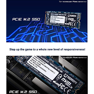 TOPMORE 1TB NVMe PCIe M.2 2280 Internal SSD High-Performance Solid State Drive