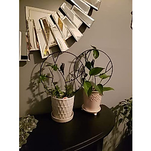 TKRSRK 2 Pcs Iron Garden Trellis for Climbing Plants, 13.6" Rust-Proof Small Trellis for Indoor Potted Plants, Round Circle Trellis with Bird, Metal Vine Plant Support Trellis for Vines - Black