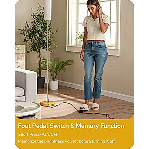 EDISHINE LED Corner Floor Lamp for Living Room, 65" Tall Standing Reading Lamp with Remote, Minimalist Dimmable Pole Lighting for Bedroom, Office, Kids Room, 9W Bulb Included, 2700K-6000K (Gold)