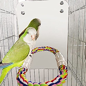 YITAQI Conure Cockatiel Cage Accessories with Rope Acrylic Brid Mirror Perch Stand Swing Parrot Toys(L)