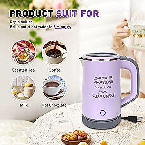 0.8L Small Electric Kettle Stainless Steel,600w Low Power Mini Portable Tea Kettle, Double Wall Travel Hot Water Boiler,Auto Shut-off & Boil-Dry Protection,for Travel, Office Student Dormitory