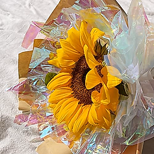 Giiffu Iridescent Film Cellophane Wrap Roll I 34 In Wide X 50 Ft Long I for Gift Baskets Flower Wrapping Paper Holographic Cellophane Easter Wrap Roll for Easter Gift Floral Bouquet Wrapping